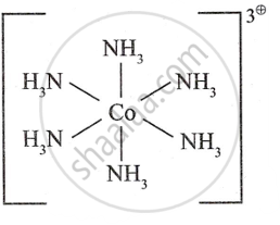 Explain the formation of [Co(NH3)6]3+ ion on the basis of Valence bond ...