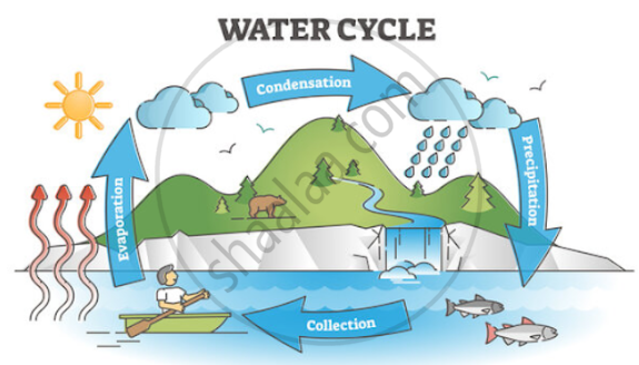 Draw a diagram to show how sea water reaches a lake or pond. - Science ...