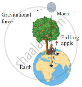 Concept of Gravitation | Shaalaa.com