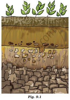 Topsoil Subsoil Bedrock