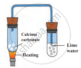 Science And Technology 1 Official 2022 2023 SSC English Medium 10th Science And Technology 1 Official 2022 2023 SSC English Medium 10th